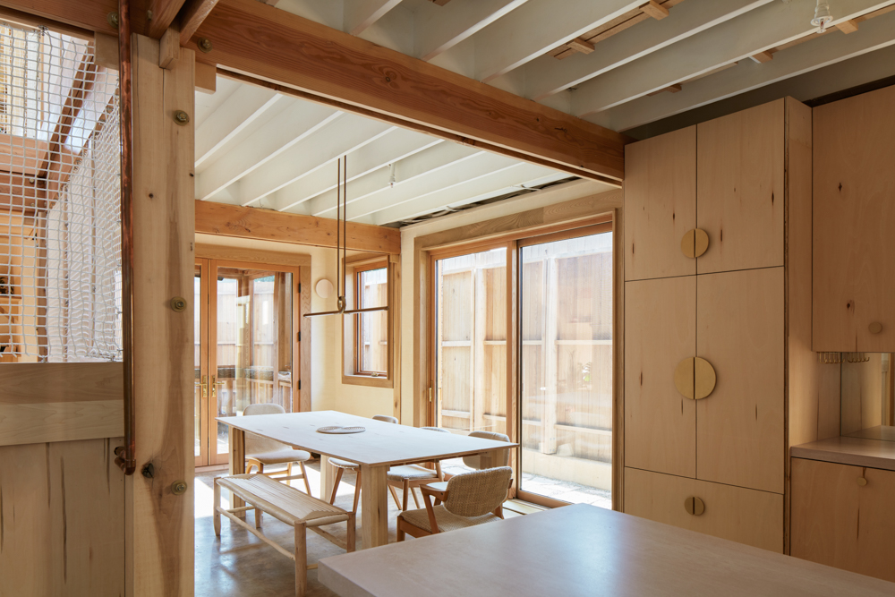 Amorim Cork Insulation & Facade - Poplar Grove Alley House - Washington DC - Case Study